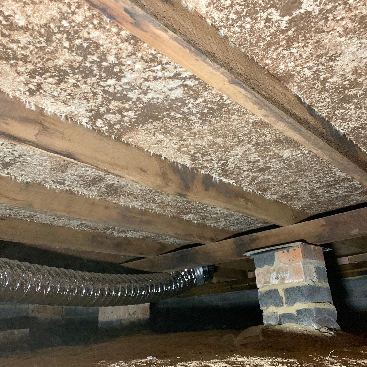 Subfloor Ventilation Systems Guide - Fresh Ventilation